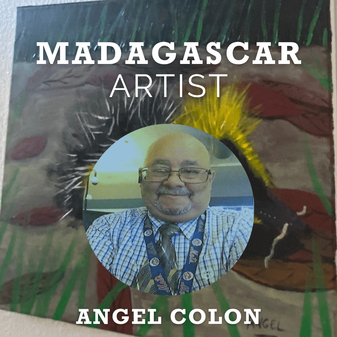 Animals of Madagascar – Avalon Park Arts & Culture Center